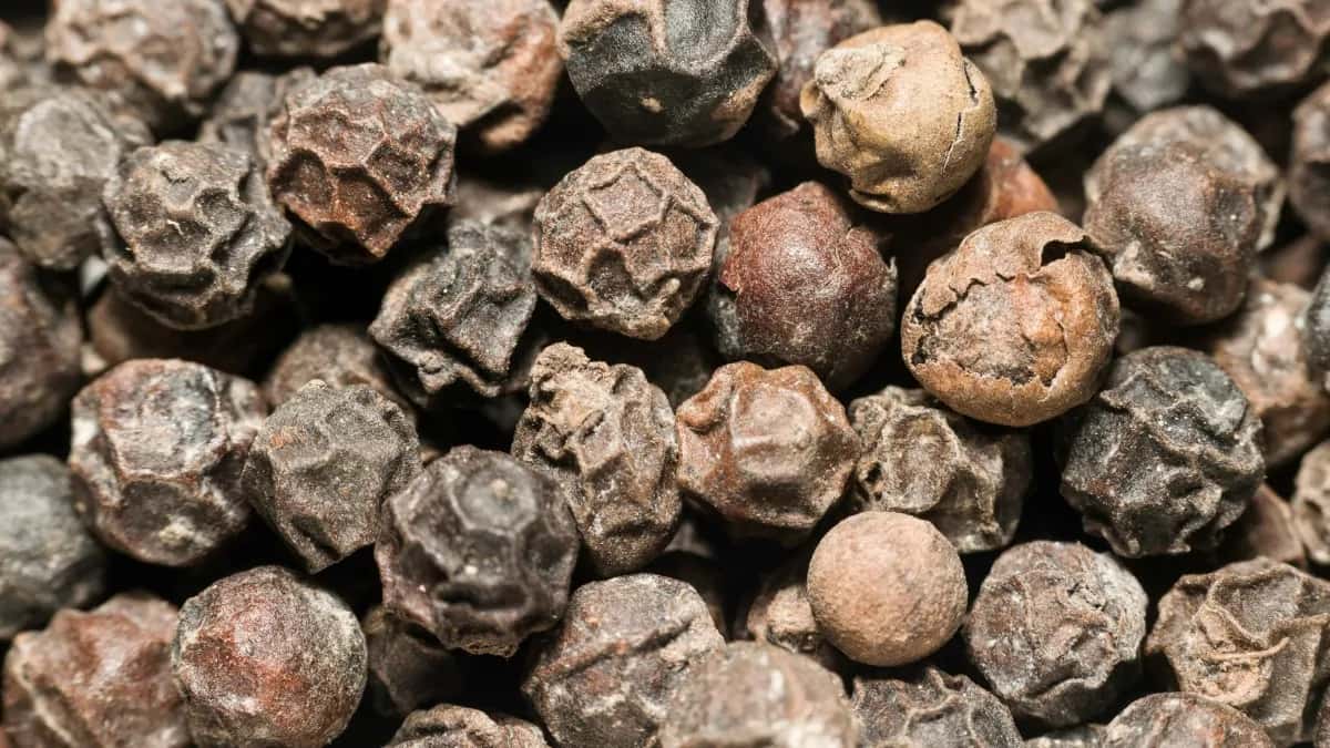 Growing Black Pepper At Home? 7 Things You Need To Know