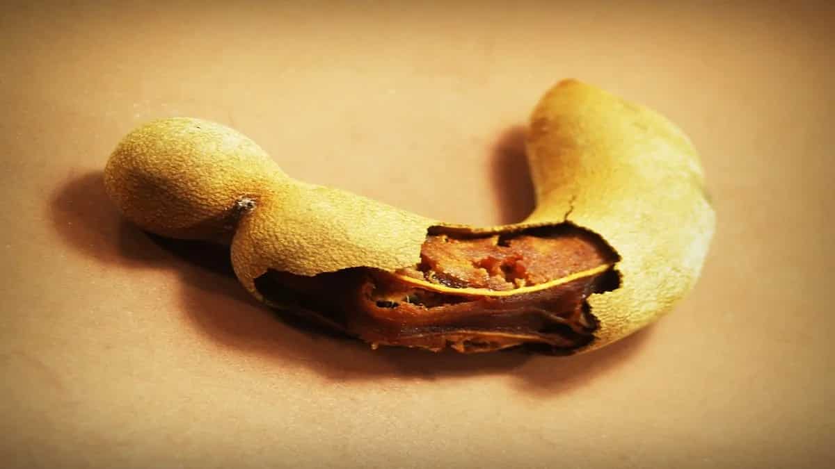 Know About 9 Suprising Health Benefits Of Tamarind