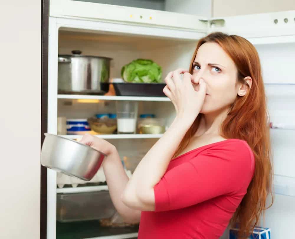 Smelly Kitchen? Here Are 5 Tips To Get Rid Of The Bad Odour
