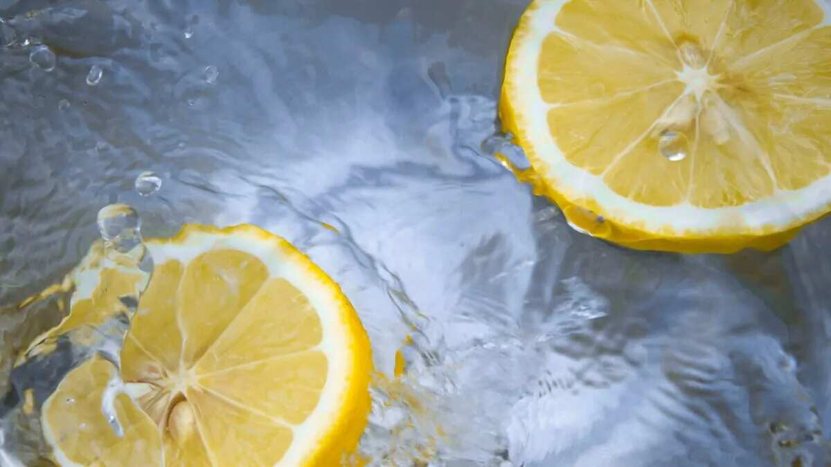 6 Easy Lemon Dishes That You Must Try This Summer
