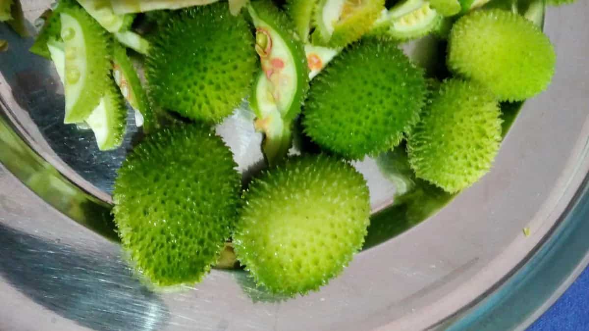 Have You Cooked The Seasonal Kantola Yet? Here’s All You Need To Know ...