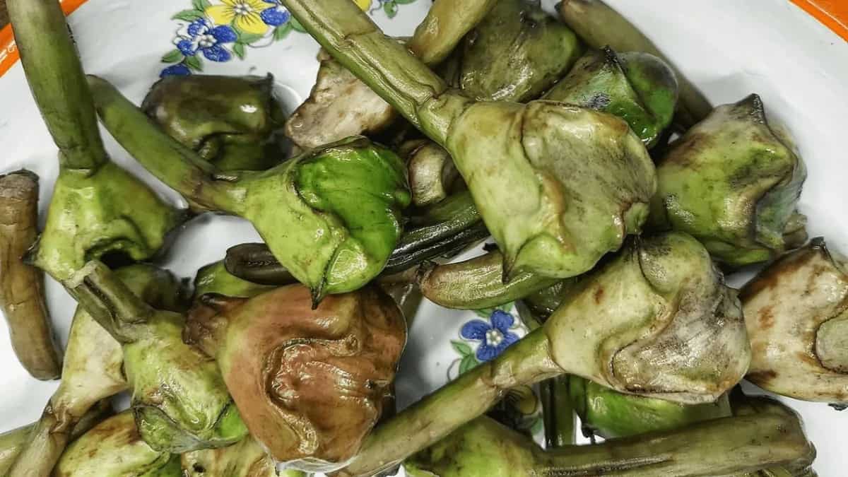 Water Chestnuts: All You Need To Know About Singhada; Recipes Inside