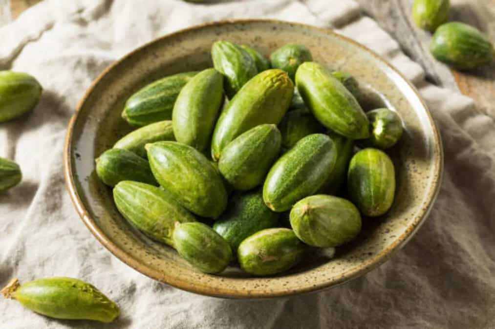 Potoler Dorma To Potol Bhaja: Explore These 7 Traditional Potol Dishes ...