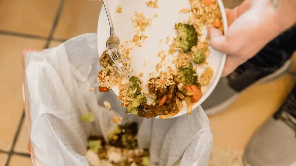 UN Report Exposes Shocking Reality: 1 Billion Tonnes of Food Wasted ...