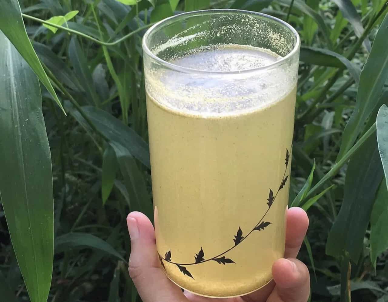 Variyali Sharbat: Try The Perfect Summer Drink Recipe