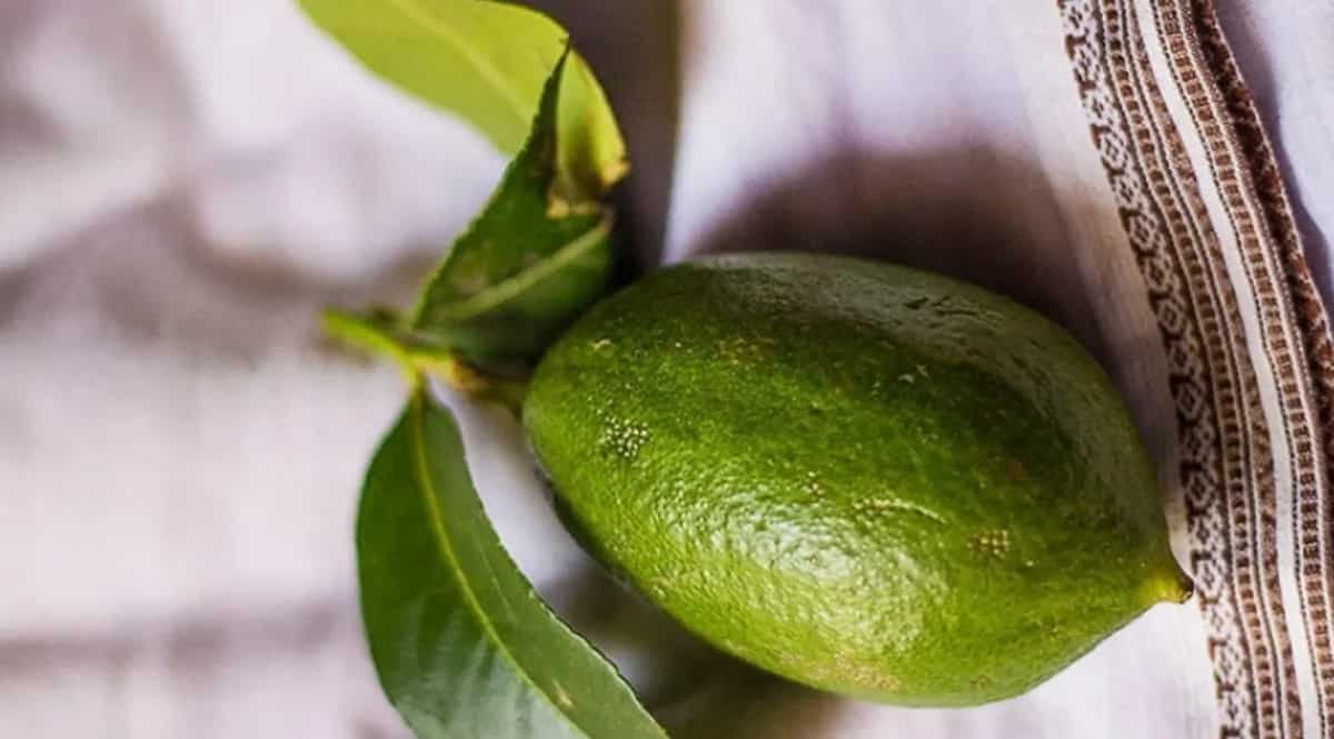 7 Gondhoraj Lemon Dishes You Can Prepare At Home