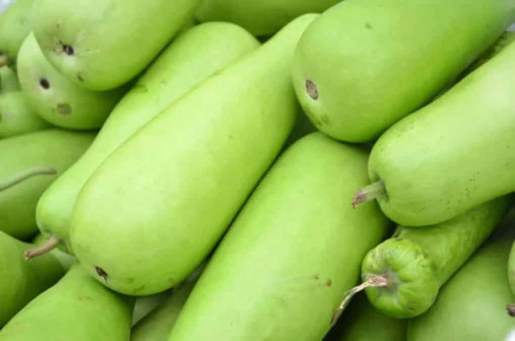 Lau Posto To Doodh Lau: 8 Must-Try Bengali Dishes Made From Bottle ...