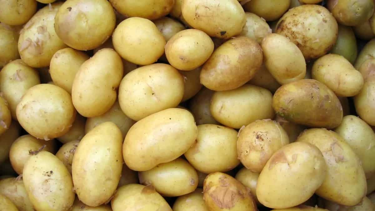 8 Types Of Potatoes Around The World And Their Specific Uses