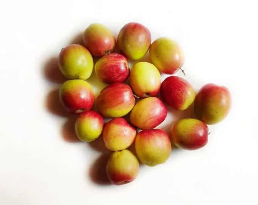 Bogori To Kordoi: 6 Uinique Fruits From Assam