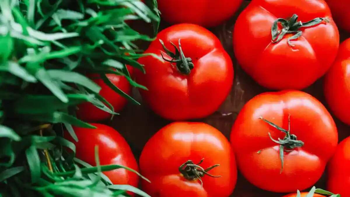 Here's How To Store Tomatoes To Extend Their Shelf Life During Summers