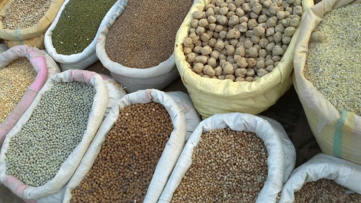 PM Modi Says Central Government To Extend Free Ration Scheme By 5 Years