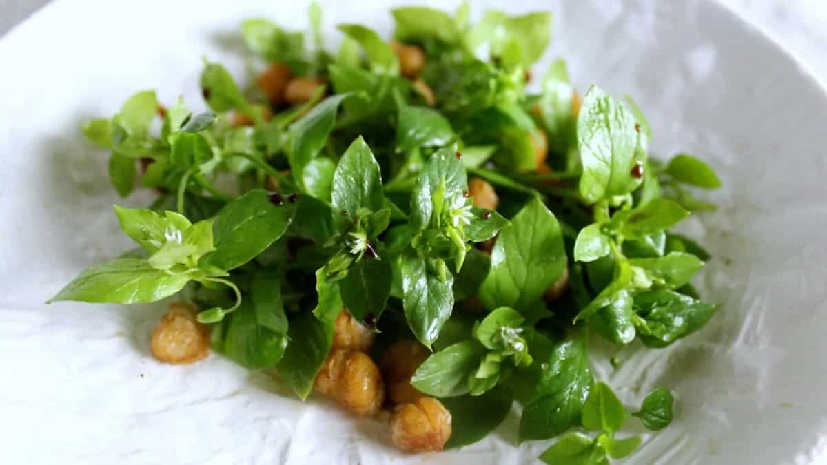 How To Use The Nutritious Chickweed Wild Herb In Cooking?