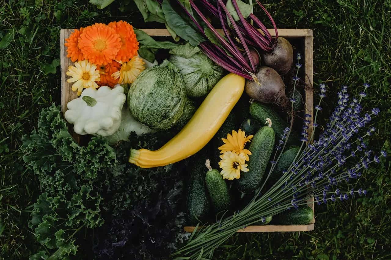 10 Healthy And Creative Ways To Add More Vegetables To Diet
