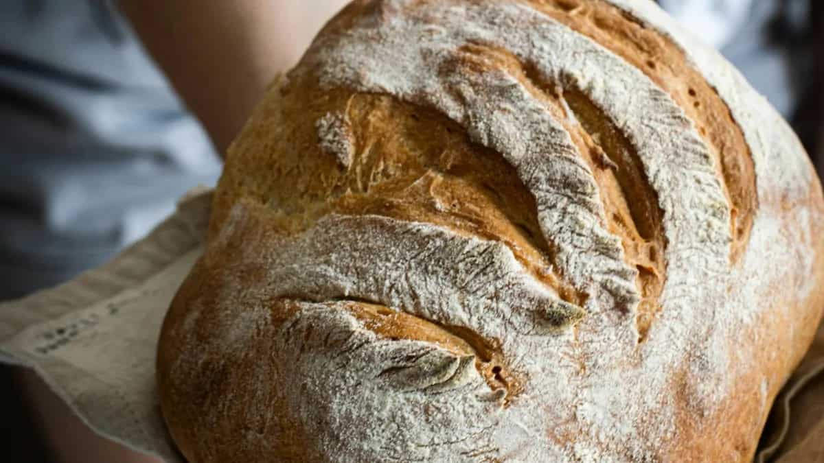 6 Types of Sourdough Breads And What Makes Them Different