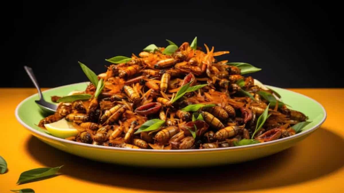 7 Most Popular Insect Dishes Eaten Around The World