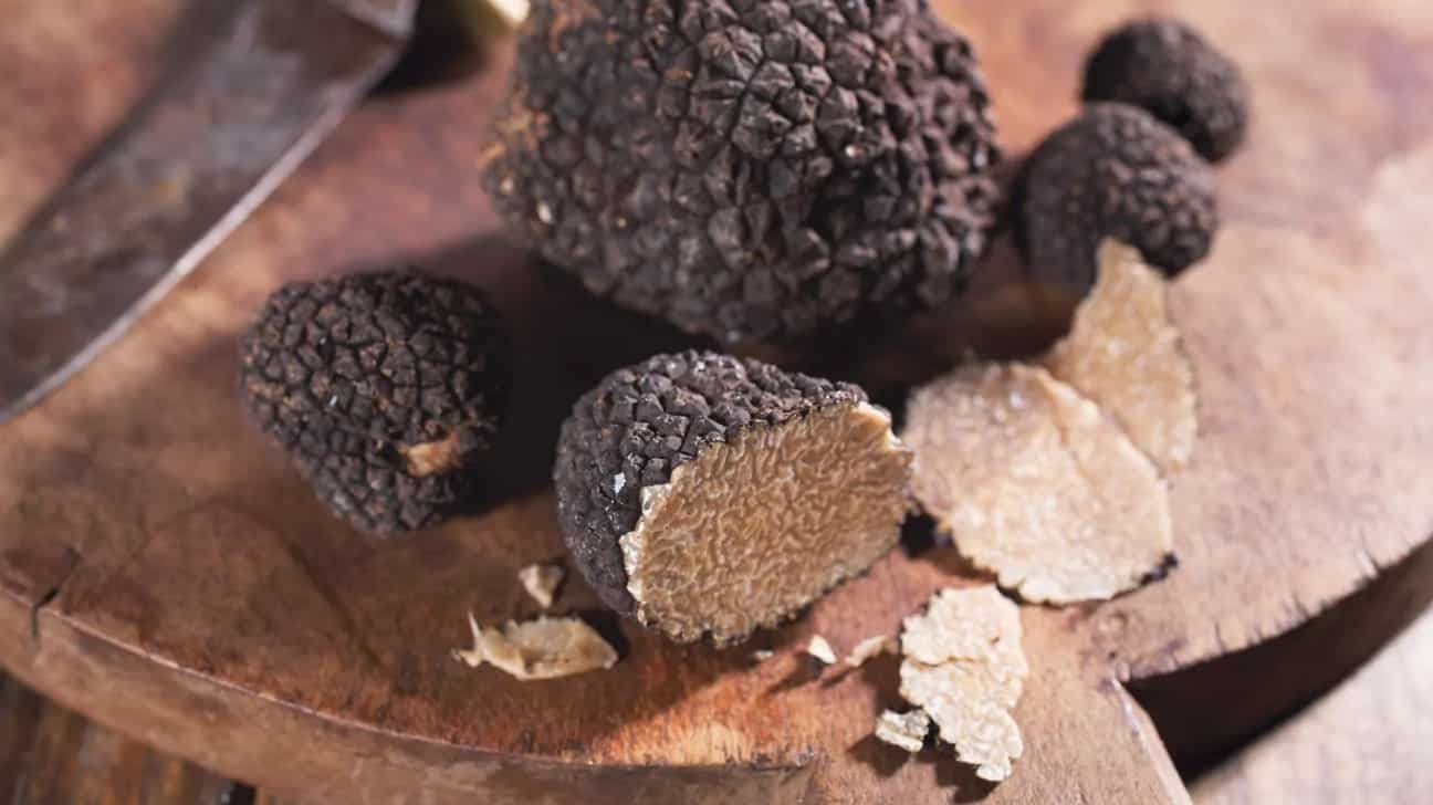 The Ultimate Guide to Truffles