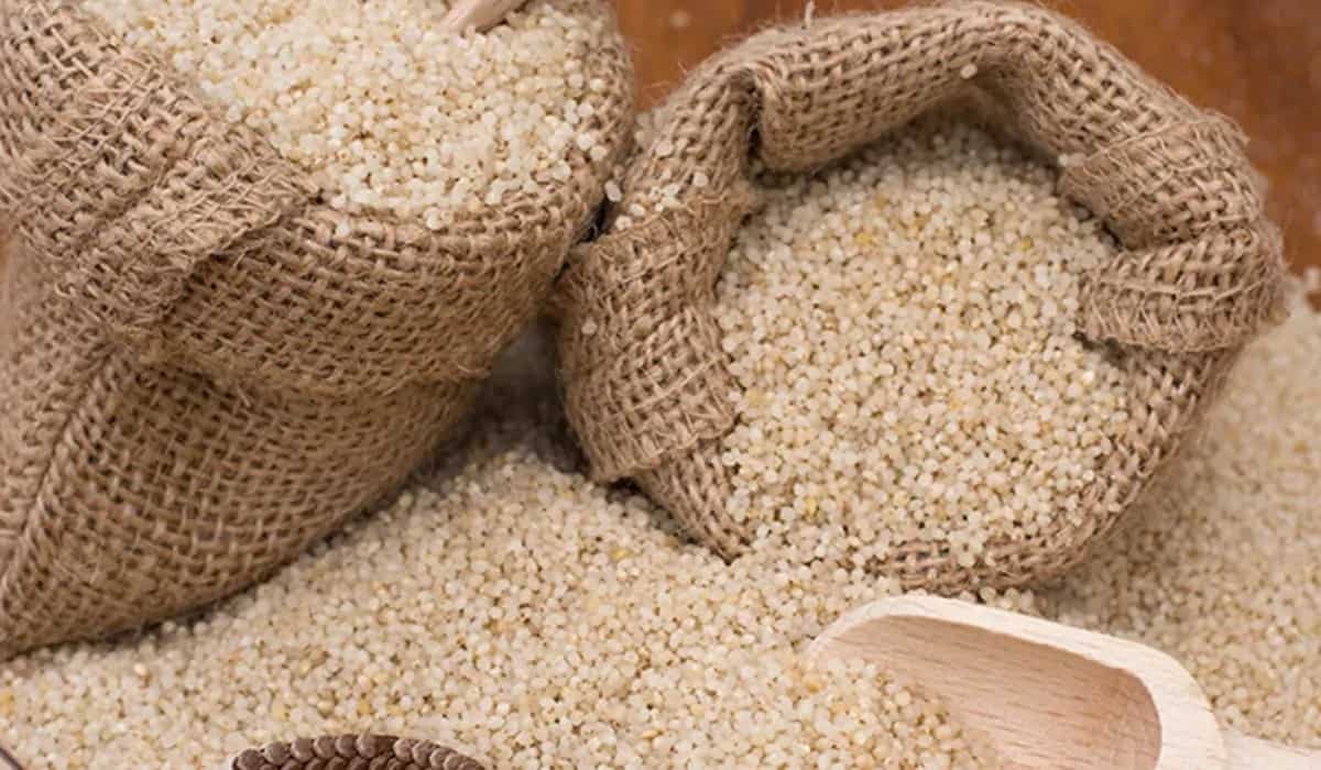 Little Millet: A Nutrient-Packed Grain Offering Numerous Health Advantages