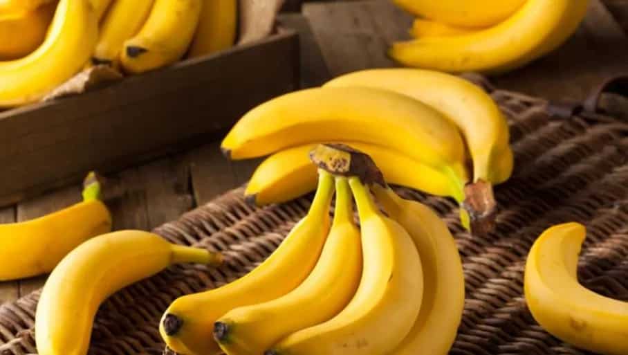 What's So Special About Robusta Bananas? 5 Things To Know About This ...