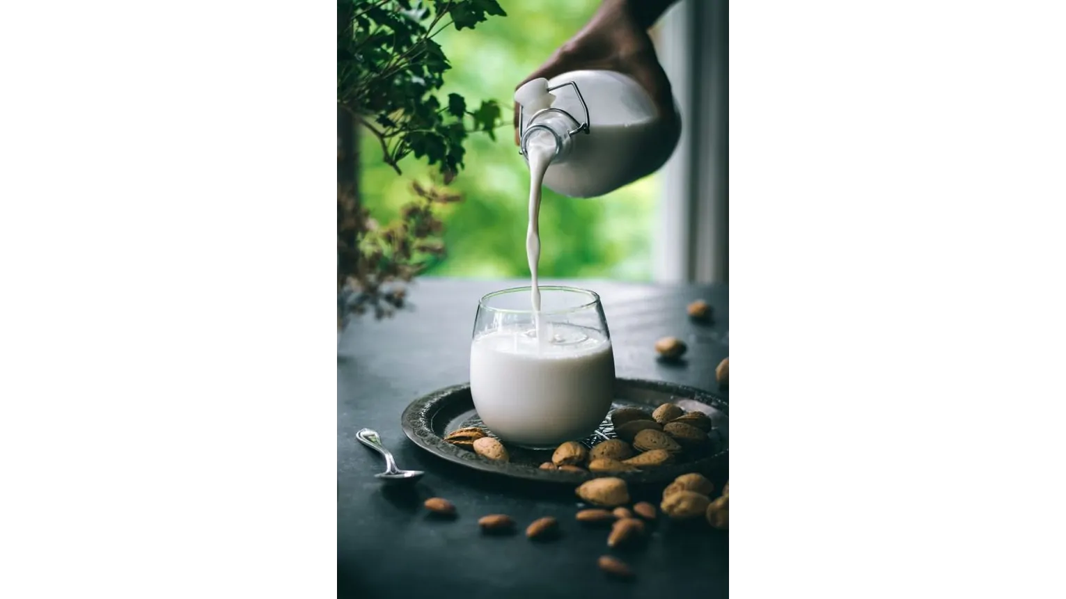 World Milk Day 2024: Debunking 5 Common Myths And Revealing The Facts ...
