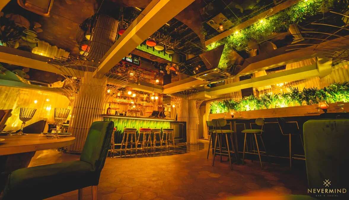 Exploring Indiranagar Social Photos: A Comprehensive Guide - Celeb Wrap