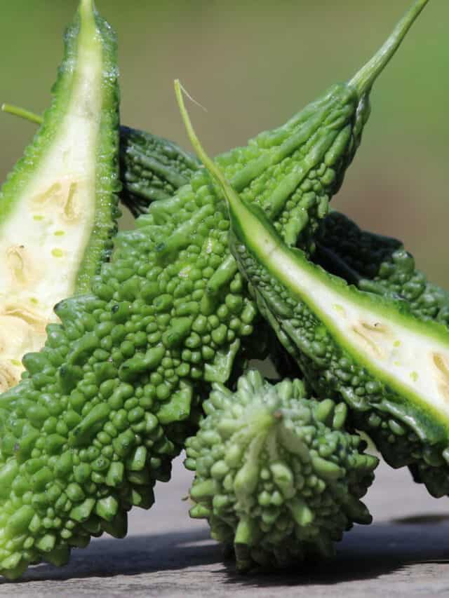 Benefits Of Bitter Gourd
