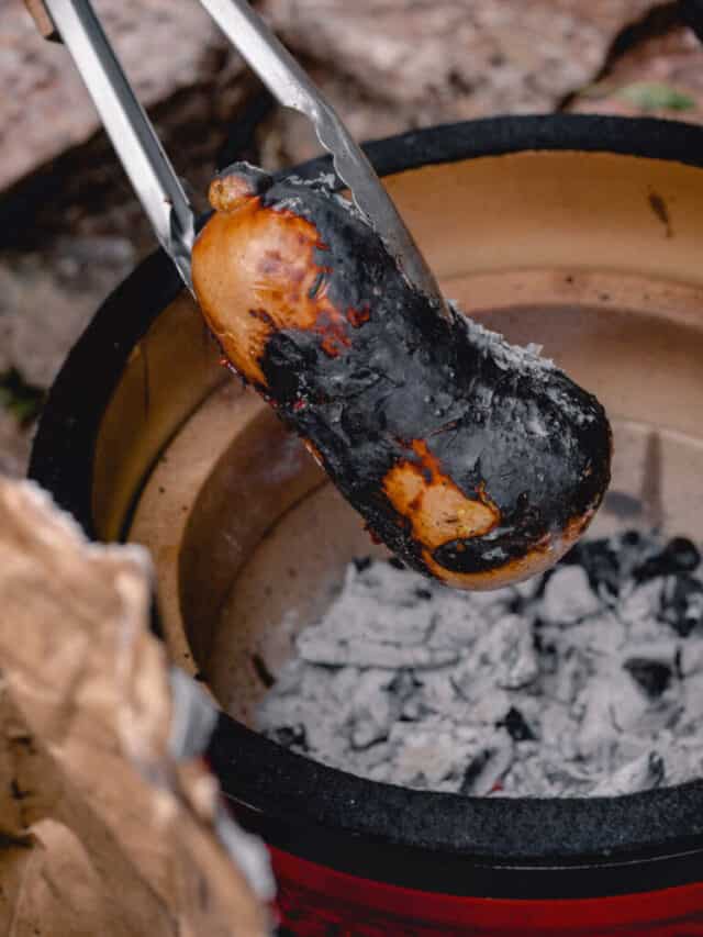 Cooking With Charcoal: Here’s Everything To Know