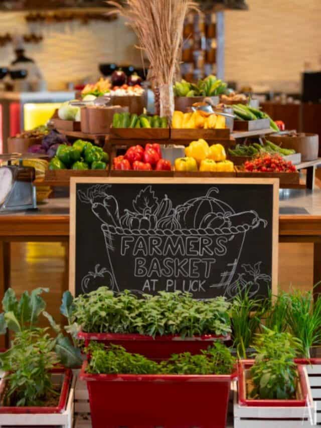 5 Farm-To-Table Organic Experiences In Delhi