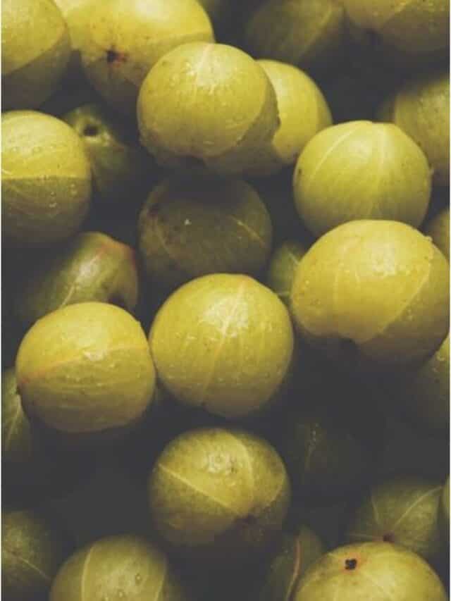 How To Make Yummy Amla Coriander Chutney