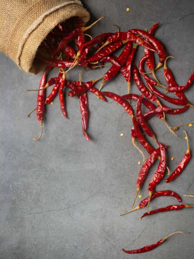 7 Indian Dry Red Chillies To Spice Up Your Life With