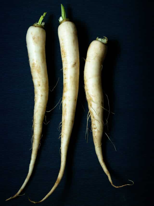 8 Reasons To Add Radish To Your Healthy Diet