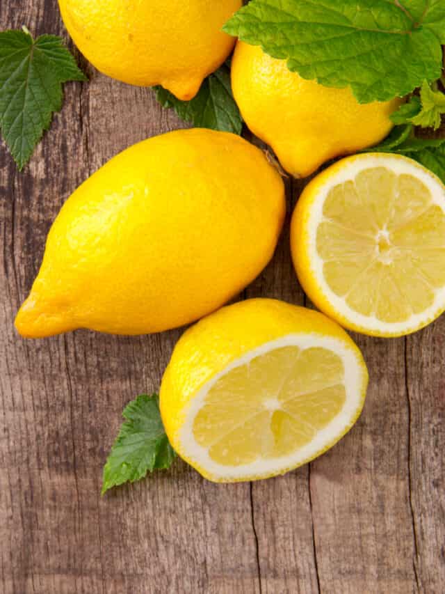 Pro Tip: Keep Your Lemons Fresh For Long