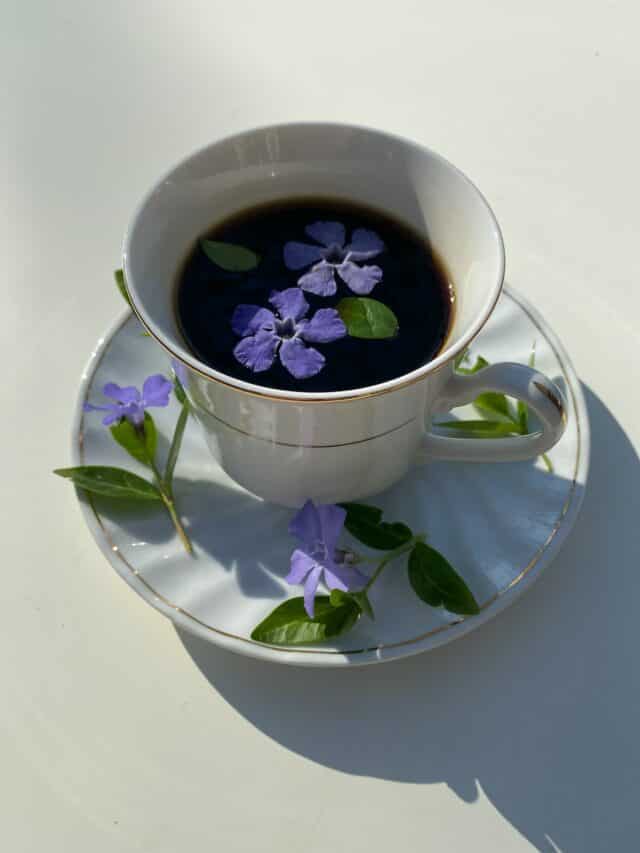 10 Refreshing Flower Teas You Need This Summer