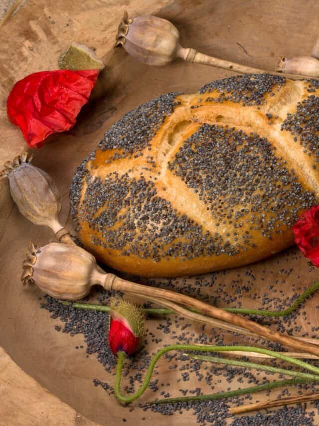6 Delicious Health Benefits Of Eating Poppy Seeds
