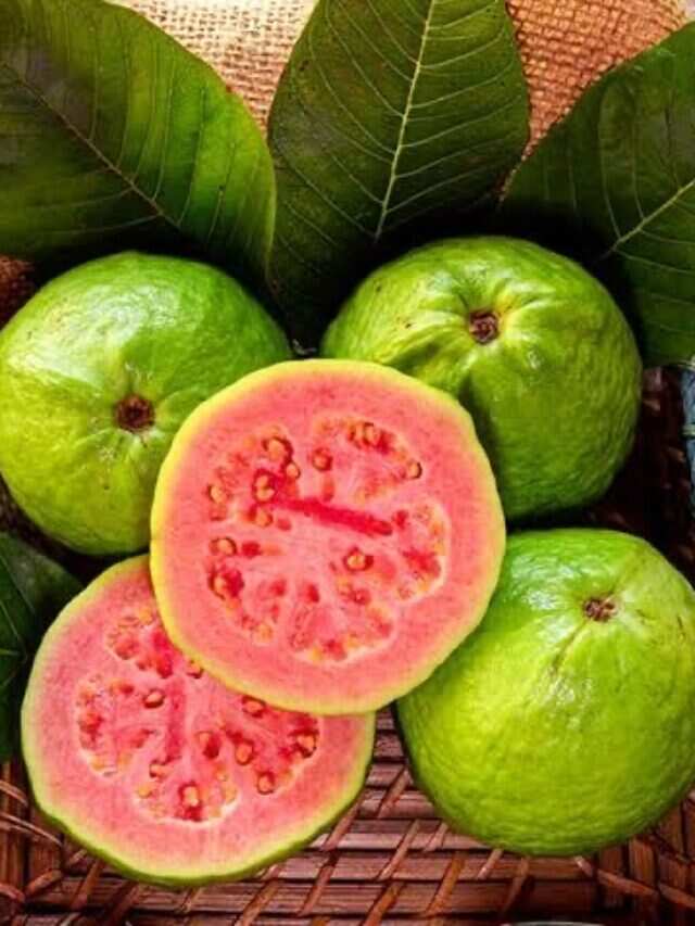 10 Reasons To Include Guava In Your Diet
