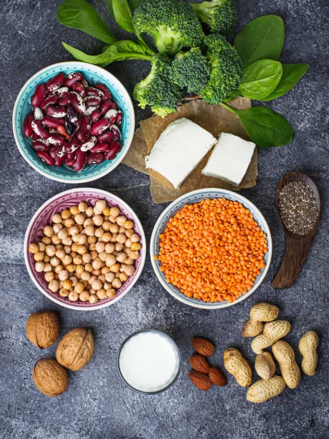 Include These Vegetarian Protein Sources To your Diet