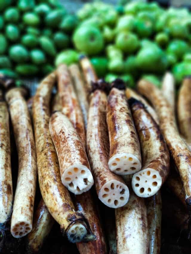 Lotus Stem: Delicious Recipes To Savour