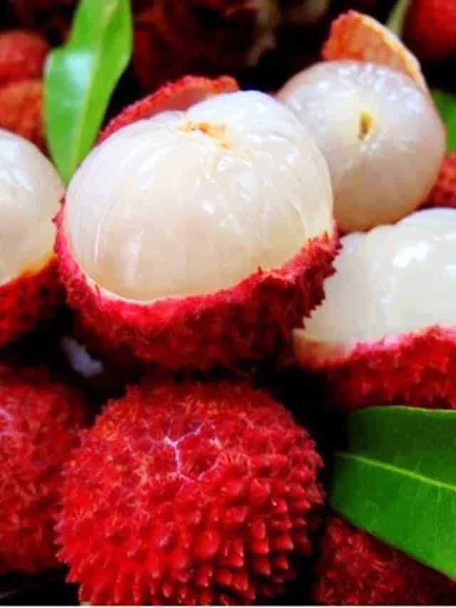 10 refreshing Lychee Drinks To Try