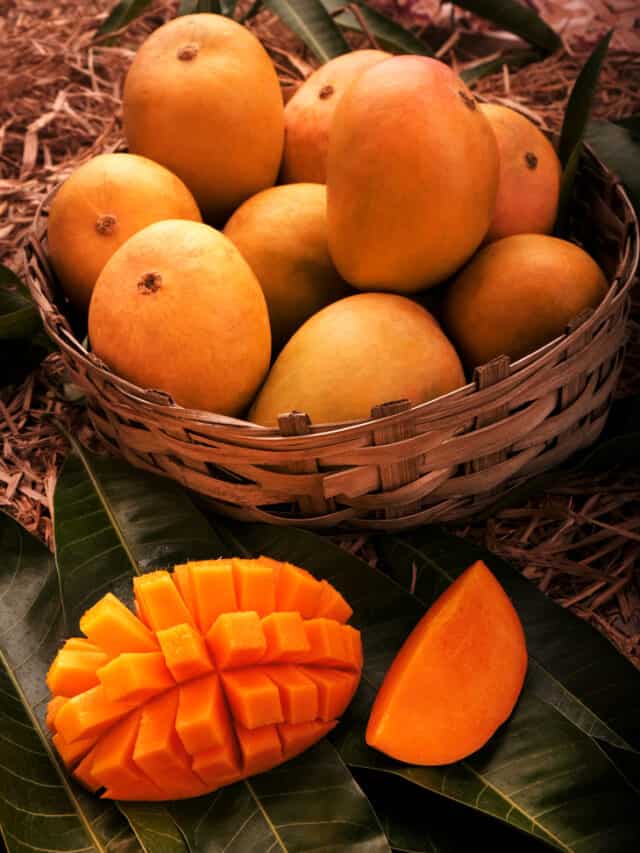 Make These 5 Mango-Lucious Recipes To Treat Yourself