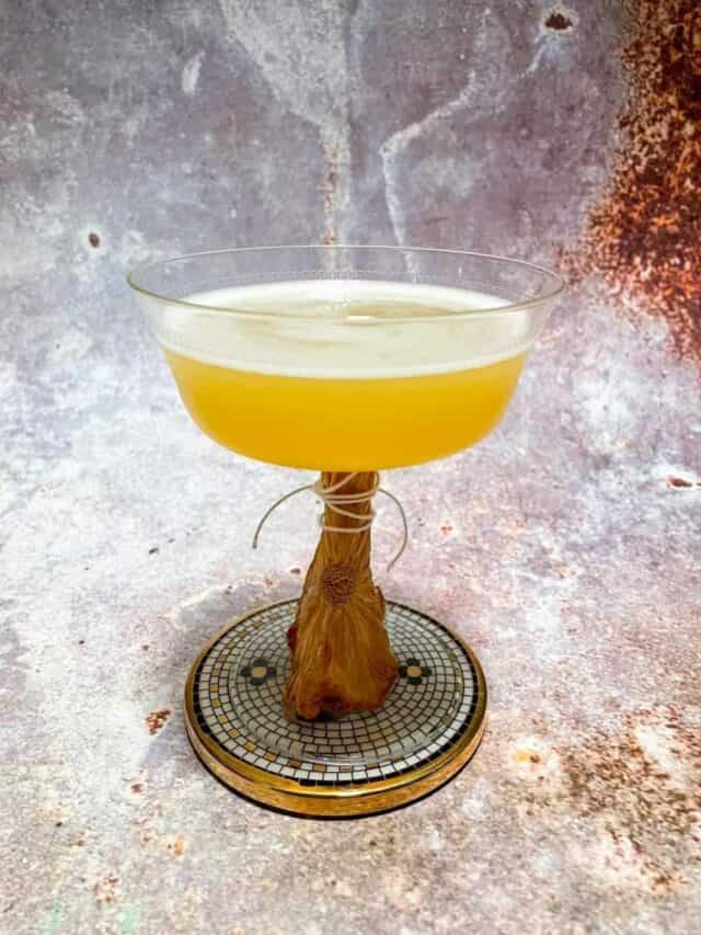 Boozy Porcupine Cocktail For Summer