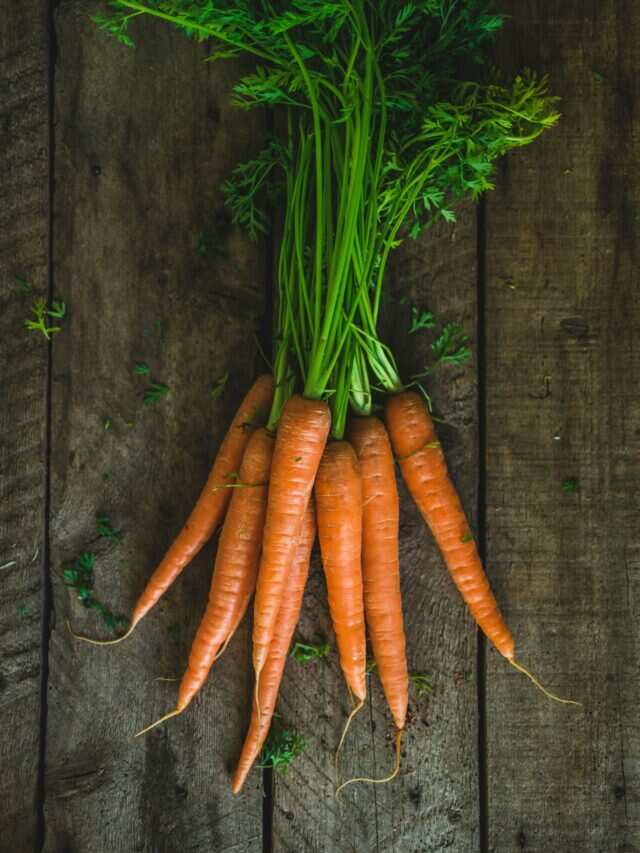 Carrots To Fish - Top 10 Foods For Healthy Eyes