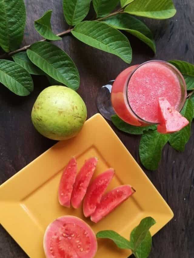 Indulge In Tropical Delight With Pink Cream Guava Mocktail