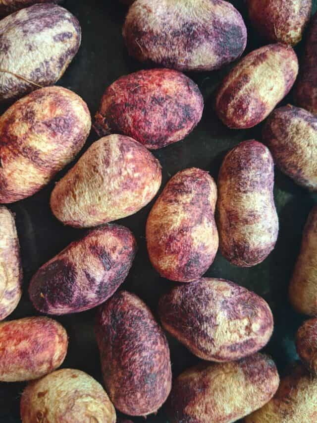 Jamun Seed Powder: Recipe And Benefits