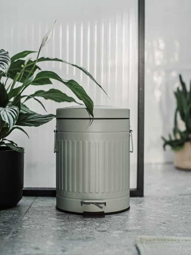 6 Effective Tips For Waste Management In Kitchen