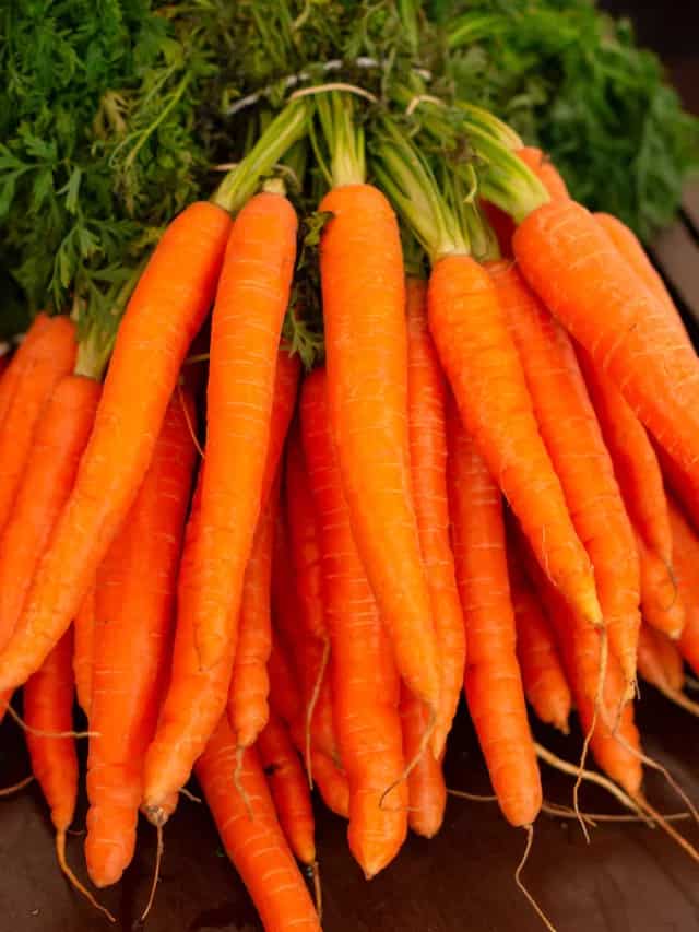 Fish To Carrot: 8 Superfoods For Better Eyesight