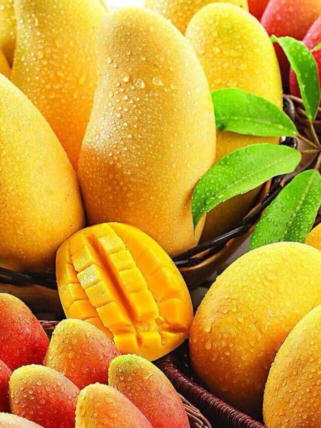 6 Savory Mango Recipes To Satisfy Your Palate