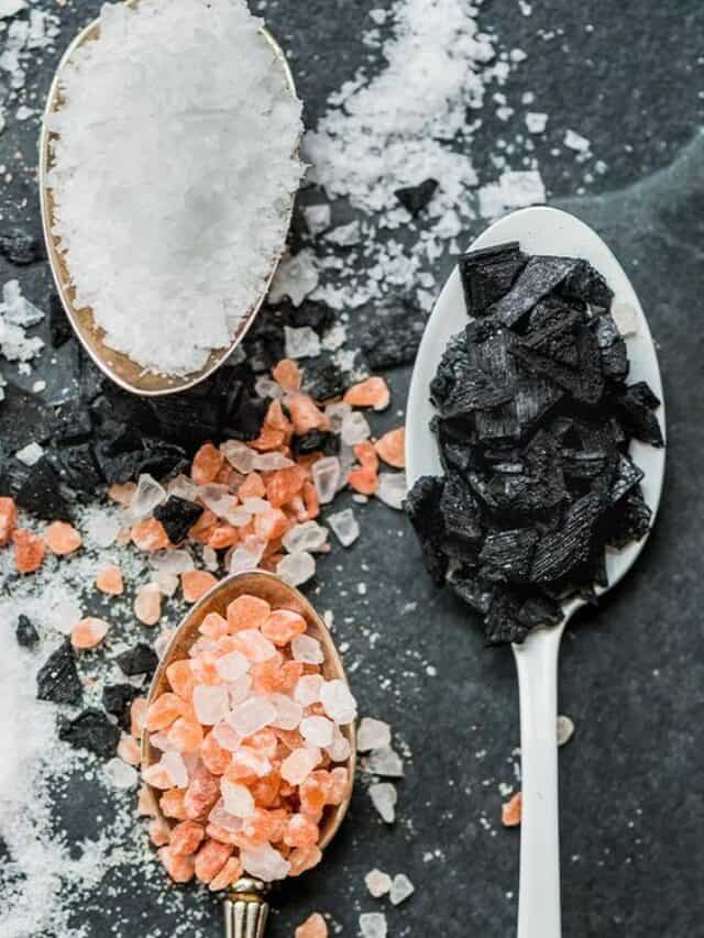 Rock To Himalayan Pink Salt - 6 Diverse Flavours Of Indian Salts To Try