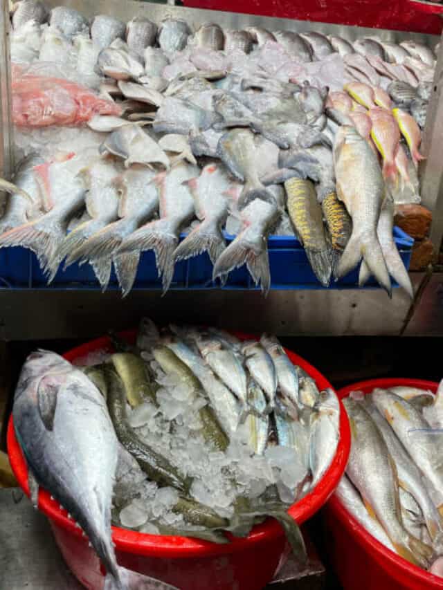 Monsoon Fishes of Goa: 5 Fresh Catches to Try