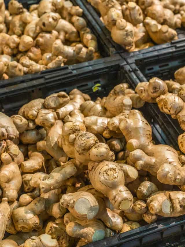 Want To Store Ginger For Longer? See 5 Tips