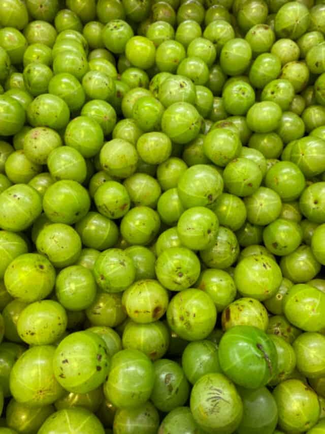 6 Benefits Of Eating Amla Everyday