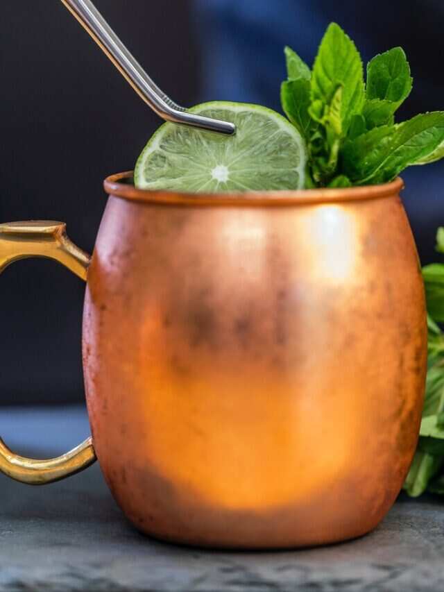 Apple Cider Mule: A Cozy Cocktail For Monsoon Weekend